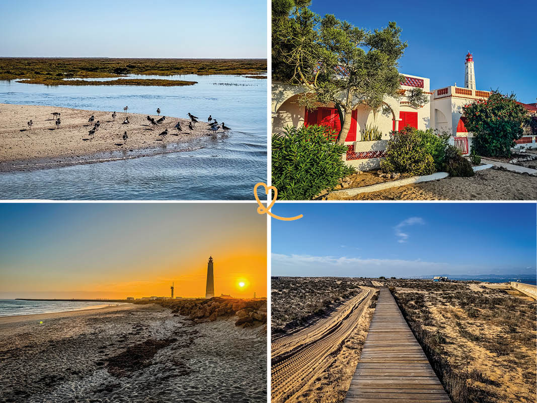 Reserva Natural de Ria Formosa (Faro): consejos + fotos