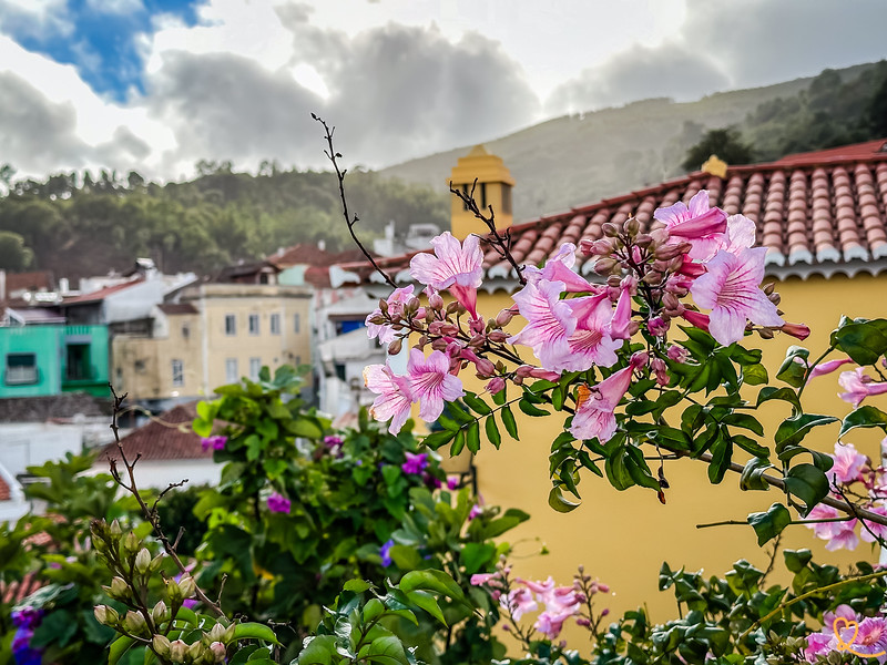 Monchique village: things to do (+ tips)